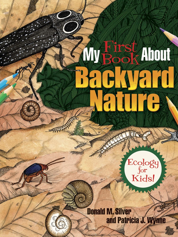 Patricia Wynne: A Life in Art. Freelance artist and illustrator… | by ...