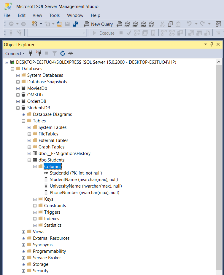 Create a Simple Web API Project with ASP .NET Core and Entity Framework ...