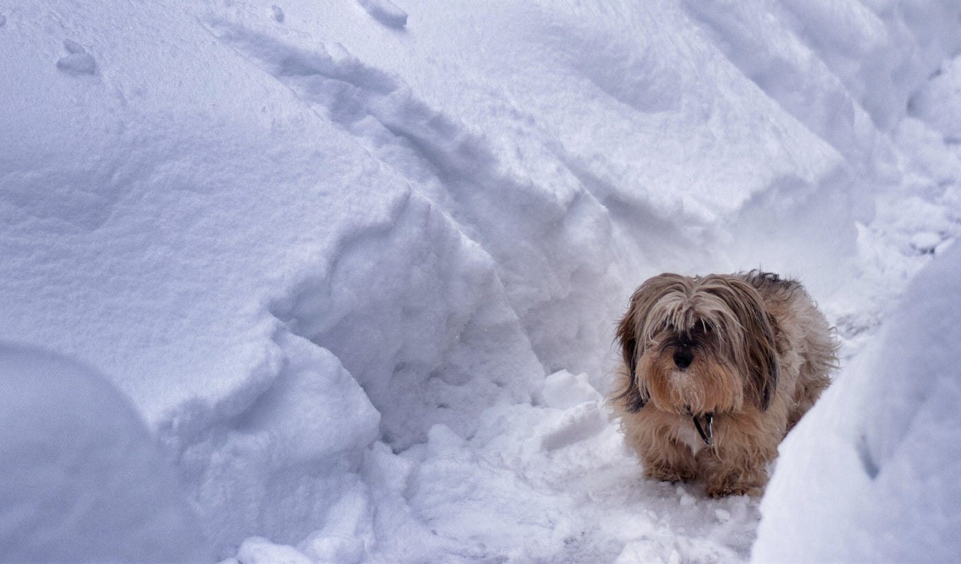 6 Ways To Beat The Winter Blahs. For those of you who live in the… | by ...