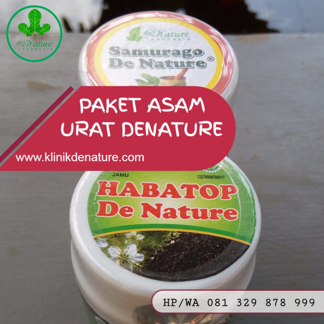 OBAT TRADISIONAL ASAM URAT. Gejala asam urat biasanya mulai muncul ...