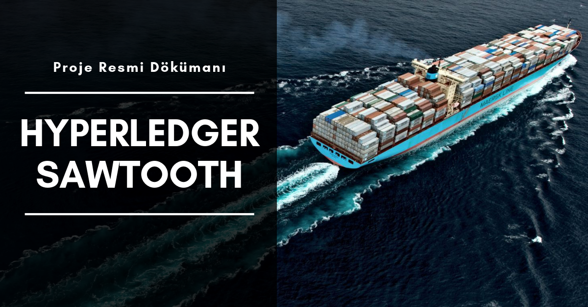 Hyperledger Sawtooth. Orijinal olarak Intel tarafından… | by Deniz ...