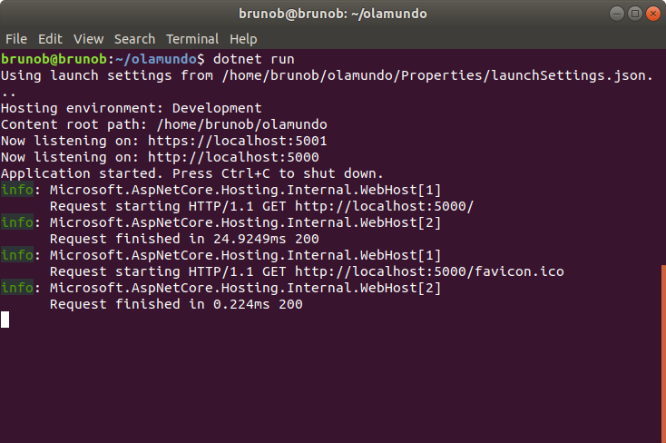 Instalando ASP.NET Core 2.1 no Ubuntu 18.04 | by Bruno Barros | Medium