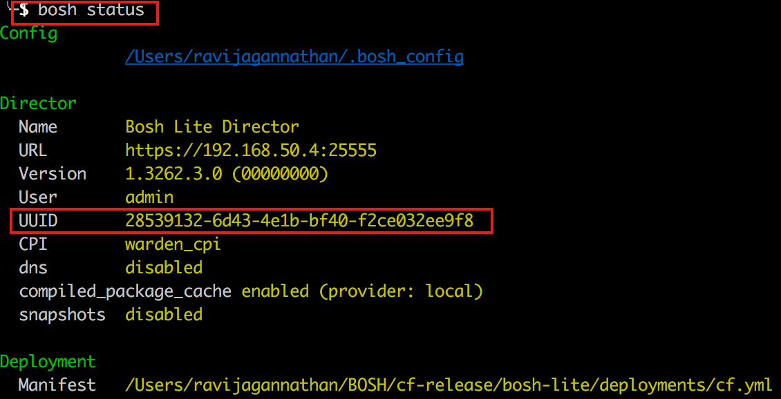 Install Cloud Foundry on Bosh Lite | by Ravi Jagannathan | Medium