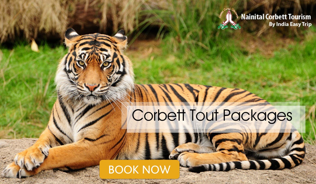Corbett Tour Package — A Blessing in Disguise for Adventure Seeking ...