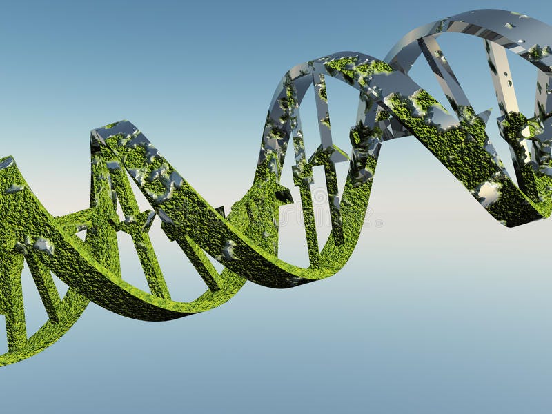 NAD Amino Acid Treatments Help Drug Rehabs | by Gary A. Padjen | Medium