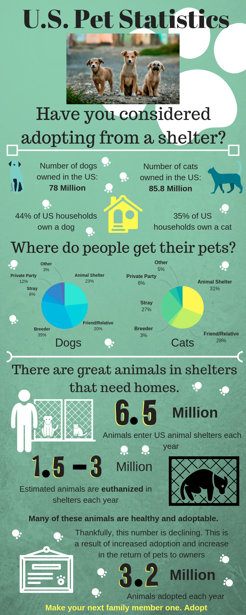 Give a Dog a Home — Why you should adopt | by Allison Amodie | Medium