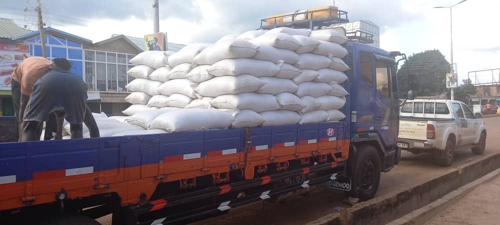 🌽Update #5 ~ PayOut for Maize I 2021 and Maize II 2020 Sponsors | by ...