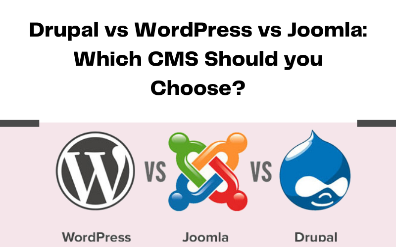 Drupal vs WordPress vs Joomla: Which CMS Should you Choose? | by Daisy Marie | Medium