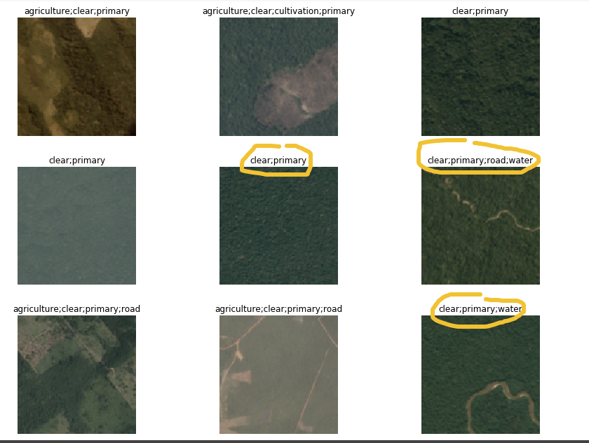 Multi-label classification using fastai — a shallow dive into fastai data-block API | by Rrohan ...