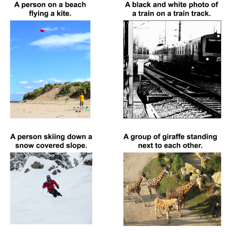 Practical OpenCV 3 Image Processing with Python | by Riaz Munshi | Medium