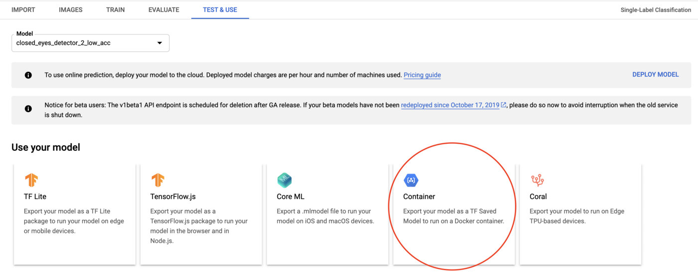 Using Google Cloud AutoML Multi-Label Image Classification Models in Python