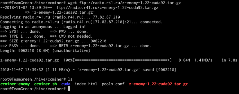 Downgrading Z-Enemy Miner from 1.23 to 1.22 in hiveOS | by eX whY | Medium