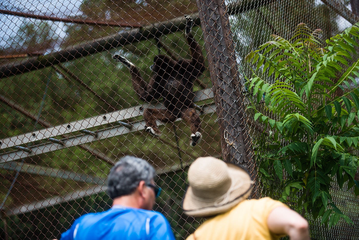 Photo Essay: East Coast Exotic Animal Rescue | by Shane Dunlap | Medium