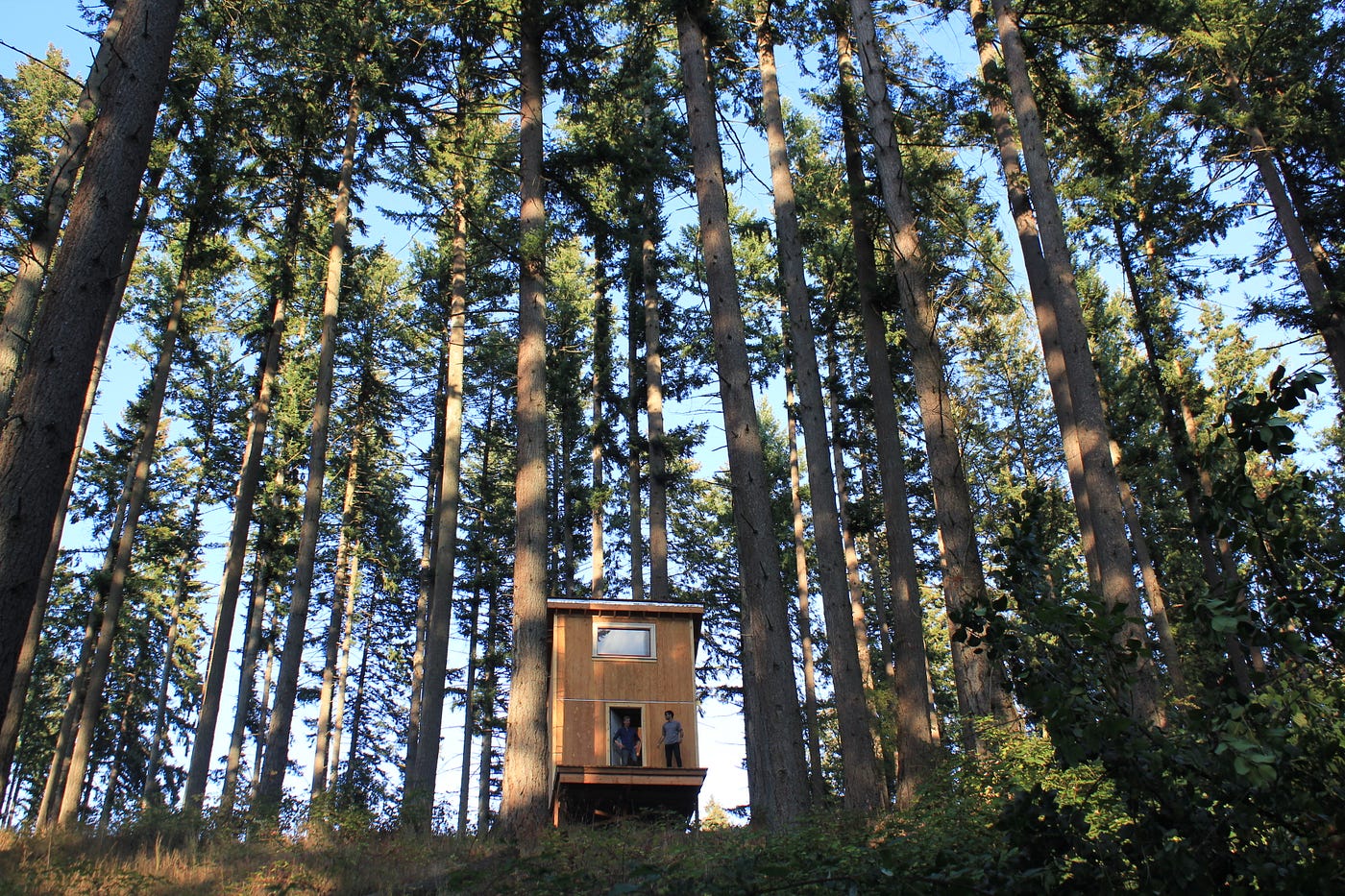 Six-Day Cabin: What we learned in the woods | by Aaron Flack | Medium
