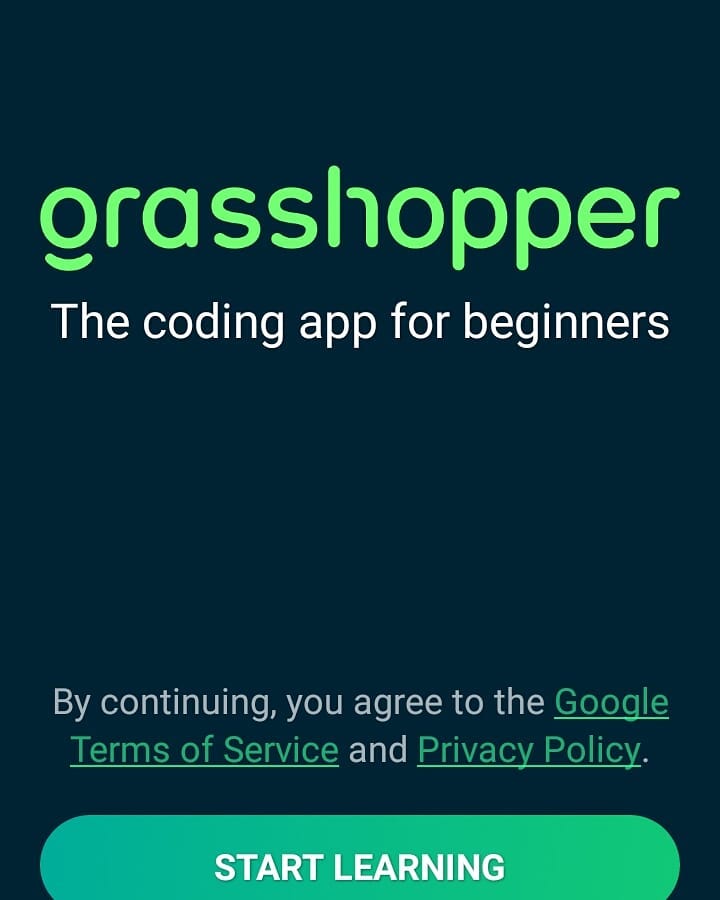 GRASSHOPPER — aka “learning how to code can be fun” | by Igbinosa ...