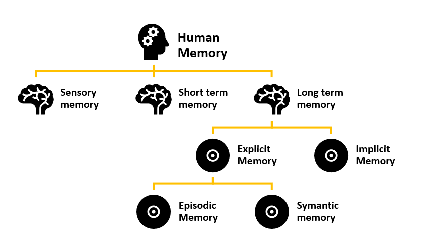 Human Memory Diagram