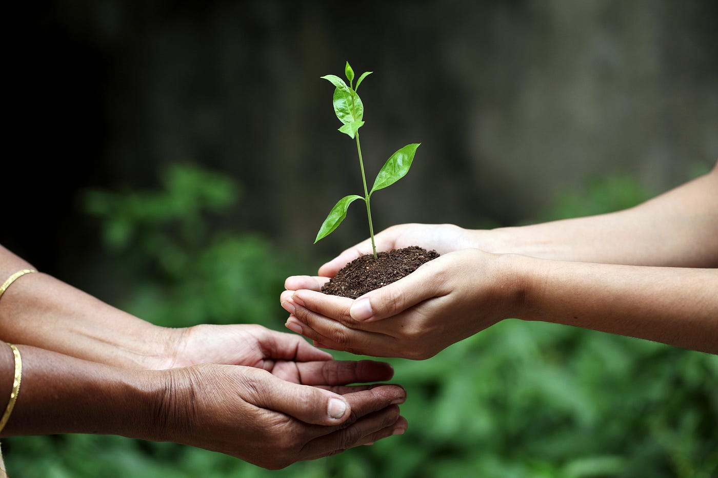 The Connection Between Spirituality and Nature | by Shelly Stern | Apr ...