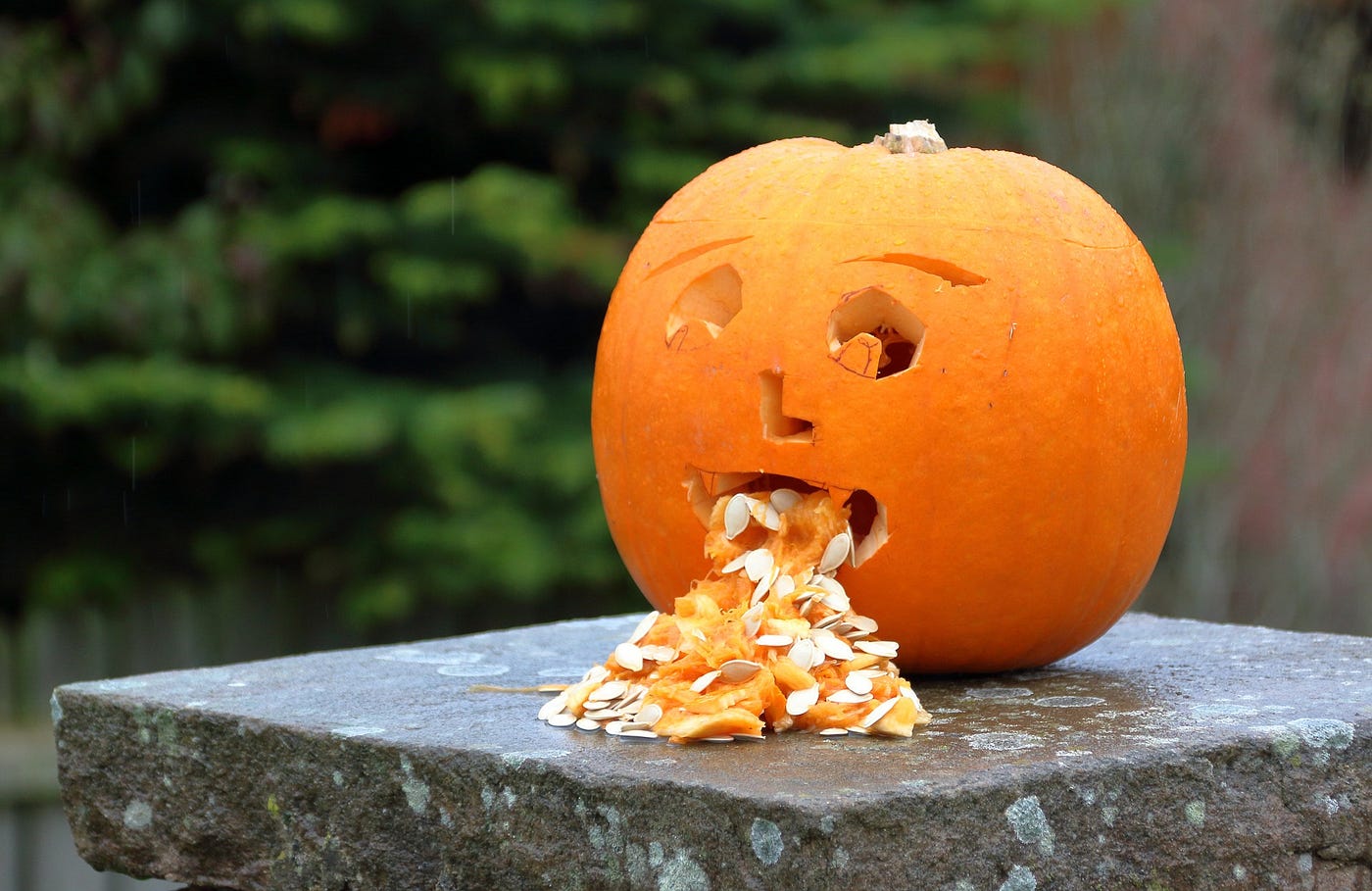 My Daughter s Vomit Can Still Ruin My Day By Mary DeVries Family