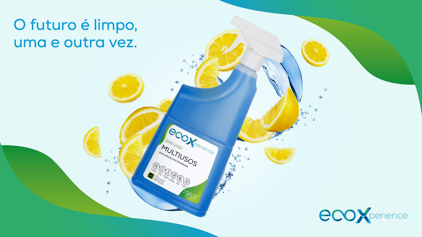 10 Questions about EcoX. The future is clean, over and over again. | by ...