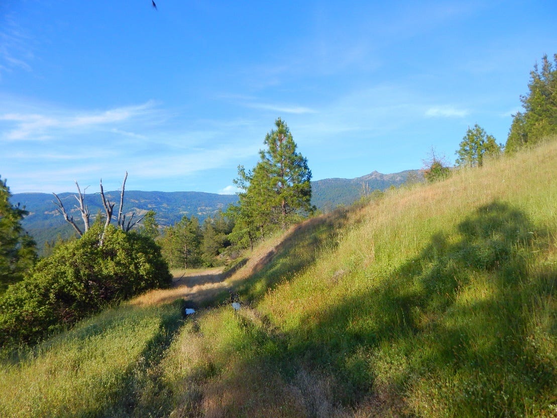 New Wilderness in Mendocino!. Great news: Wilderness was just… | by CA ...