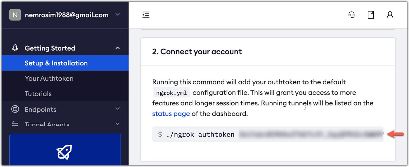 NGROK. How to share localhost on a network without deploying | by Artem Diashkin | Geek Culture ...