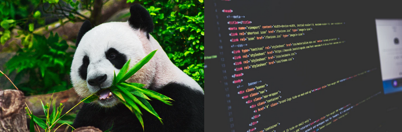 3 Advanced Pandas Methods For Data Scientists By Kaushik Choudhury Towards Data Science