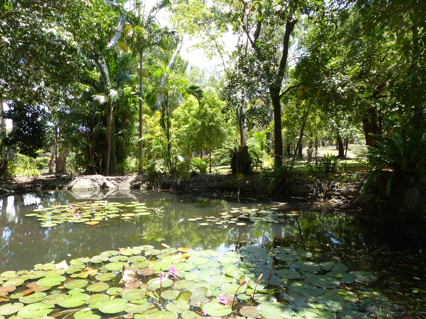 A Journey to Cooktown. Exploring tropical north Queensland’s… | by Zoë ...