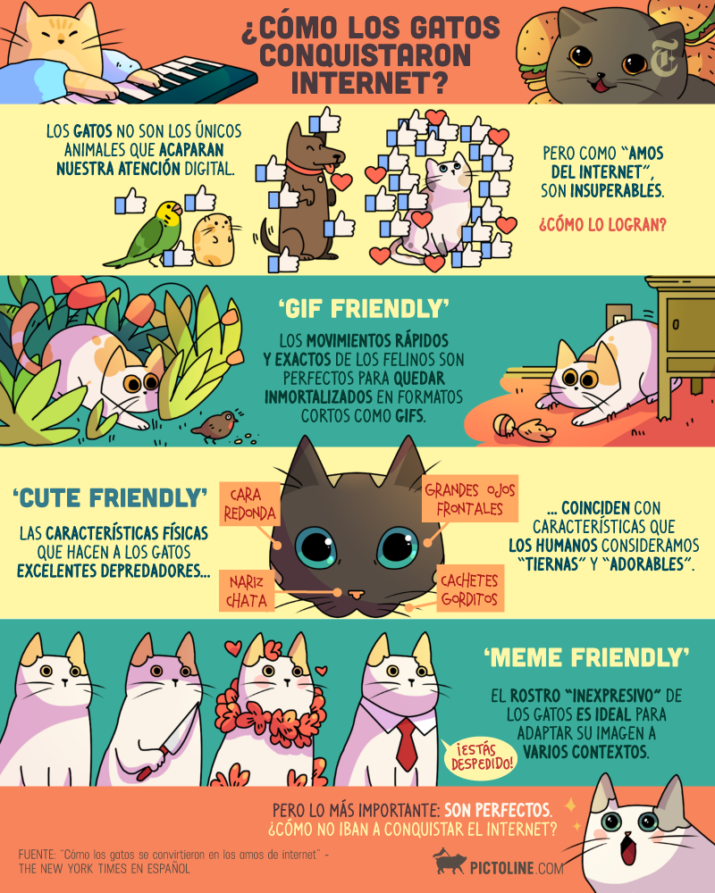 El Internet de los gatos. El Internet de los gatos: una… | by Alde ...