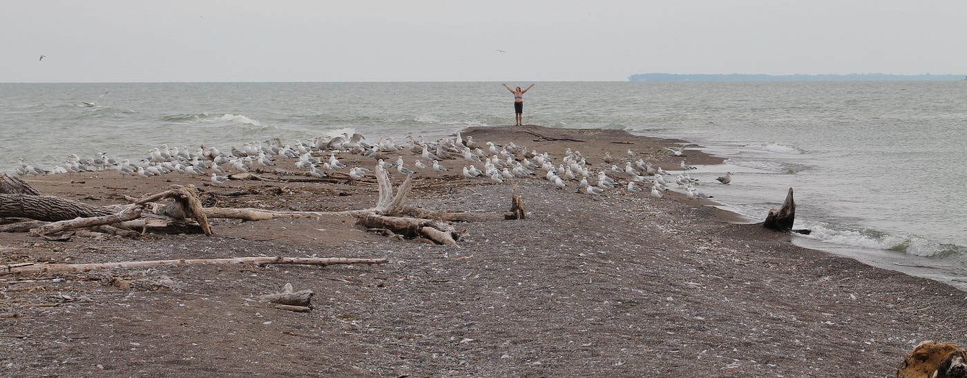 My Canada: the southern charms of Pelee Island | by Kelley Teahen | Medium