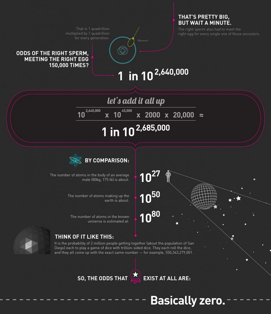 What Are the Odds of You Existing? | by Brad Beckstrom | Medium