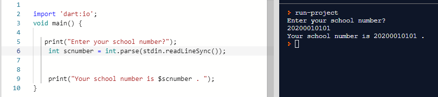 Input with Dart Language. What is Dart Language? | by Sude Dalyan ...