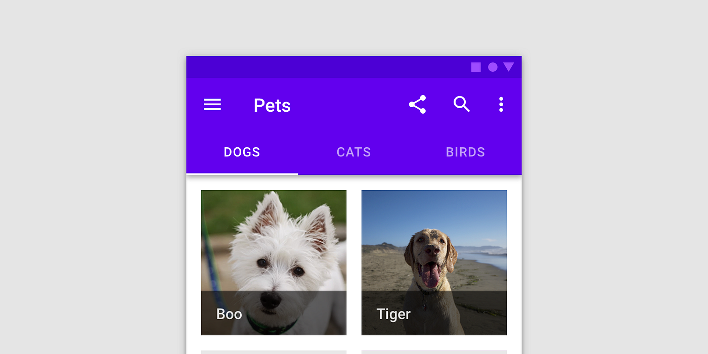 Flutter Segmented Control and Tab Bar in android and ios | by Sarim Khan | Medium
