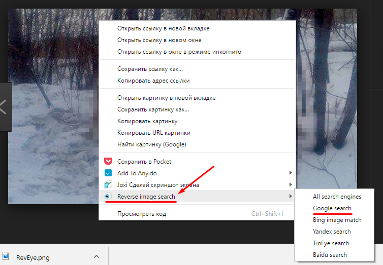 RevEye Reverse Image Search. Расширение для поиска по фото | by ...