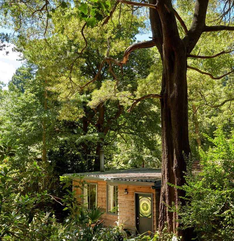 Step Inside a Creative Couple’s Australian Forested Getaway | by ...