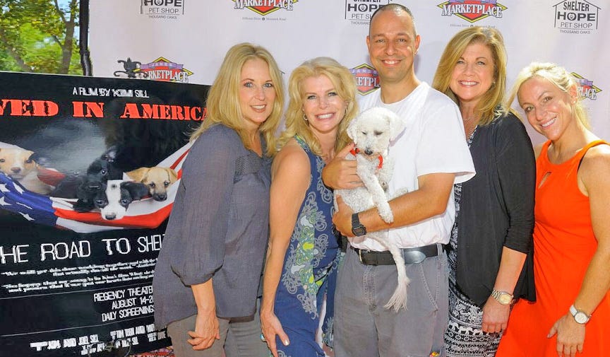 Kim Sill, on how she developed the Grit to save more than 6000 dogs ...
