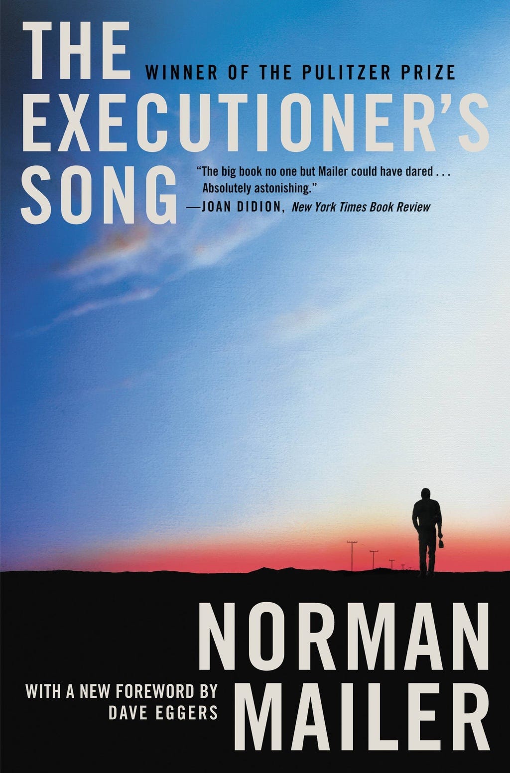 The 10 Best Norman Mailer Books. Distilling Mailer’s 60-year career ...