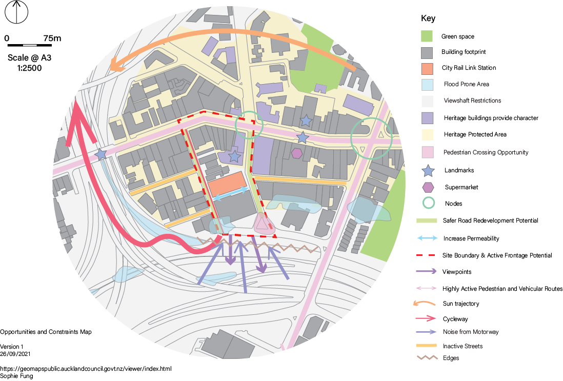 Opportunities and Constraints Plan - Sophie Fung - Medium