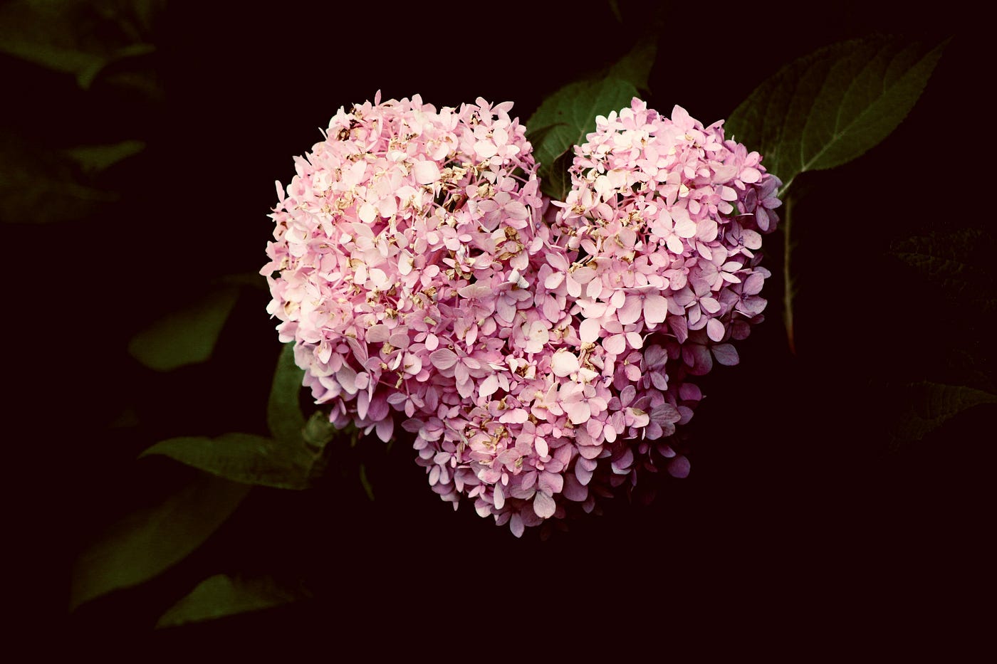 Love’s full cup. Poem - Alexander Semenyuk - Medium