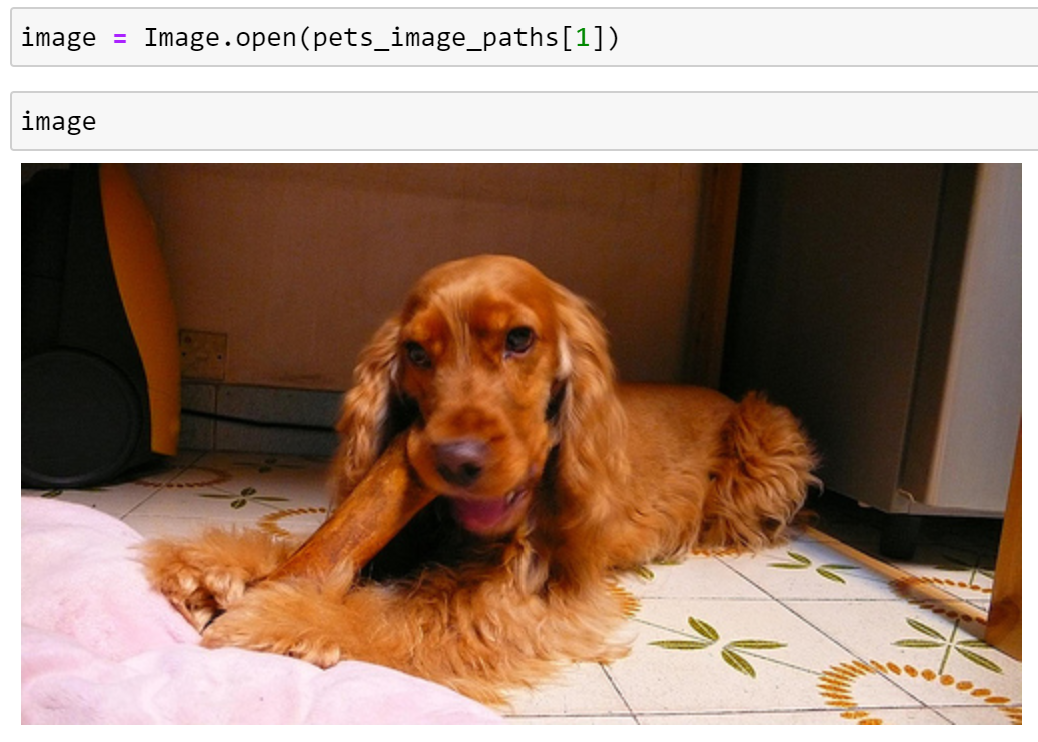 Getting Started With Pytorch Image Models Timm A Practitioners Guide By Chris Hughes