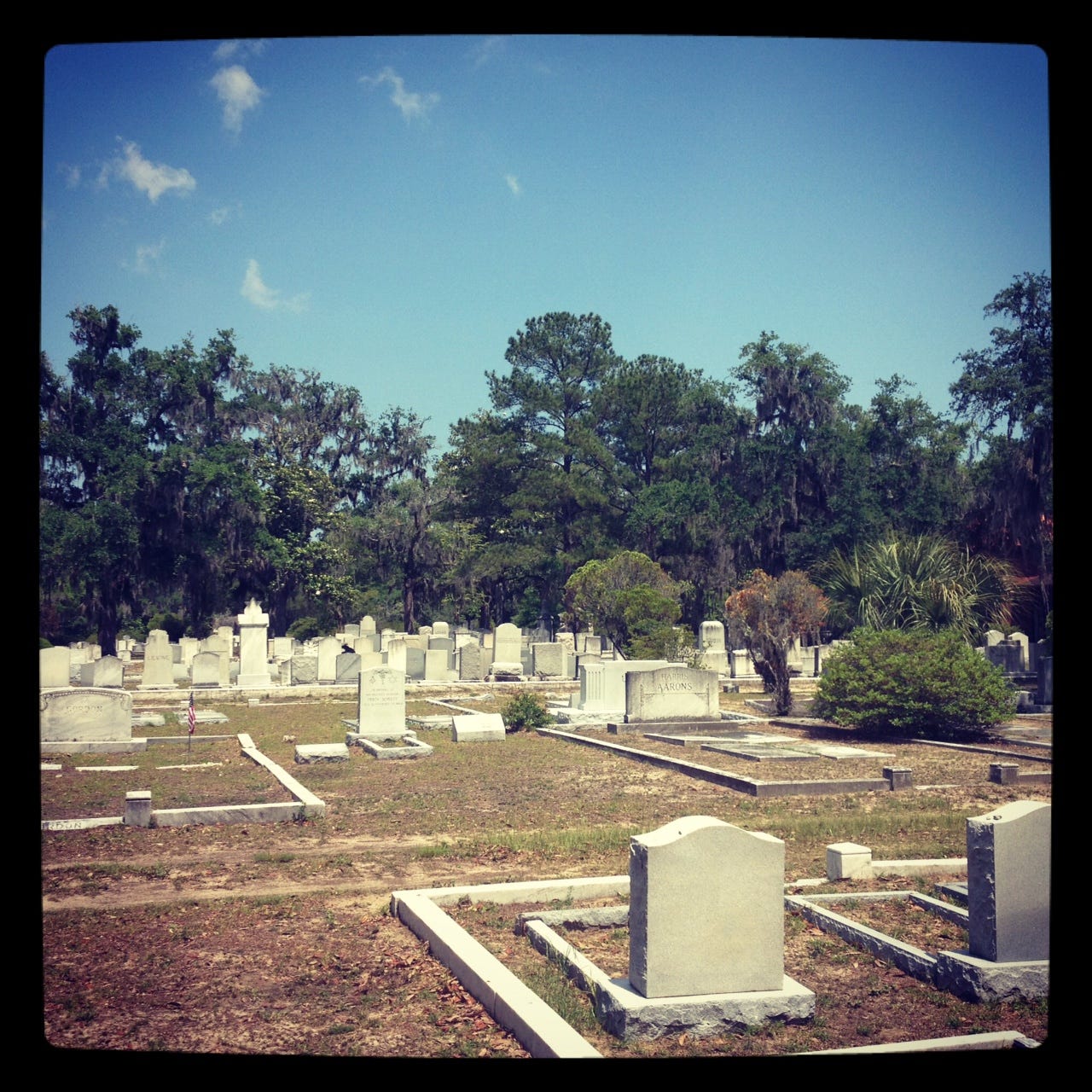 Tourism at Bonaventure Cemetery. When I drove up through the gate… | by ...