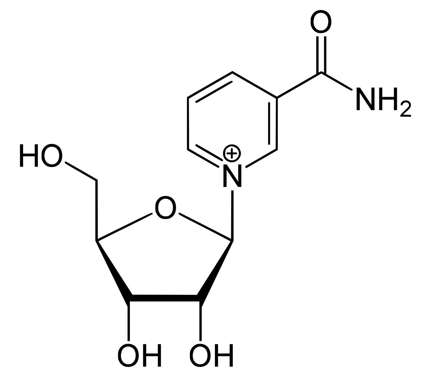 Nicotinamide Riboside: What is It and How Does it Benefit You? | by ...