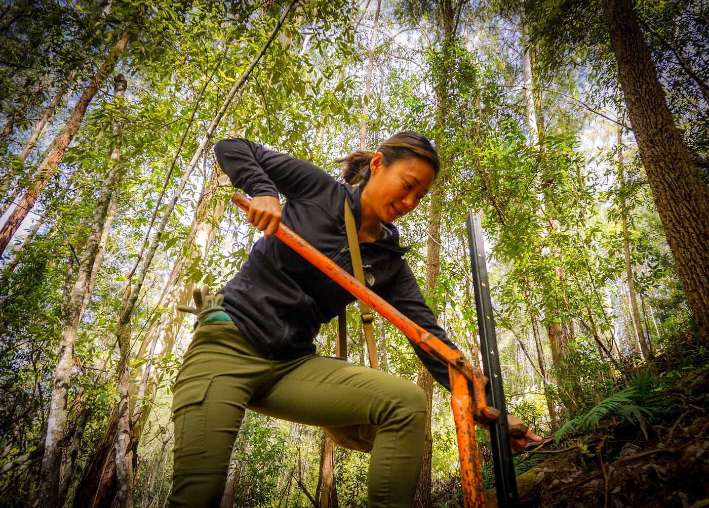 1SE User Spotlight: Caroline Han. World Travel with Purpose | by Bruce ...
