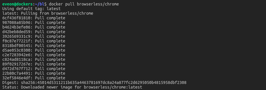 How to run Headless Chrome Remotely using Browserless. | by Michael Rhema | Another DIY ...