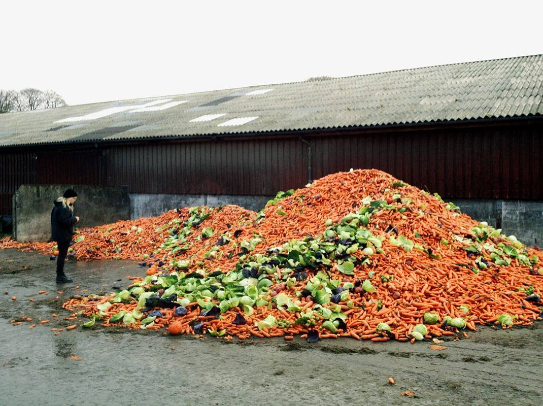 Why selling ugly produce to big kitchens just makes sense | by Eat Grim ...