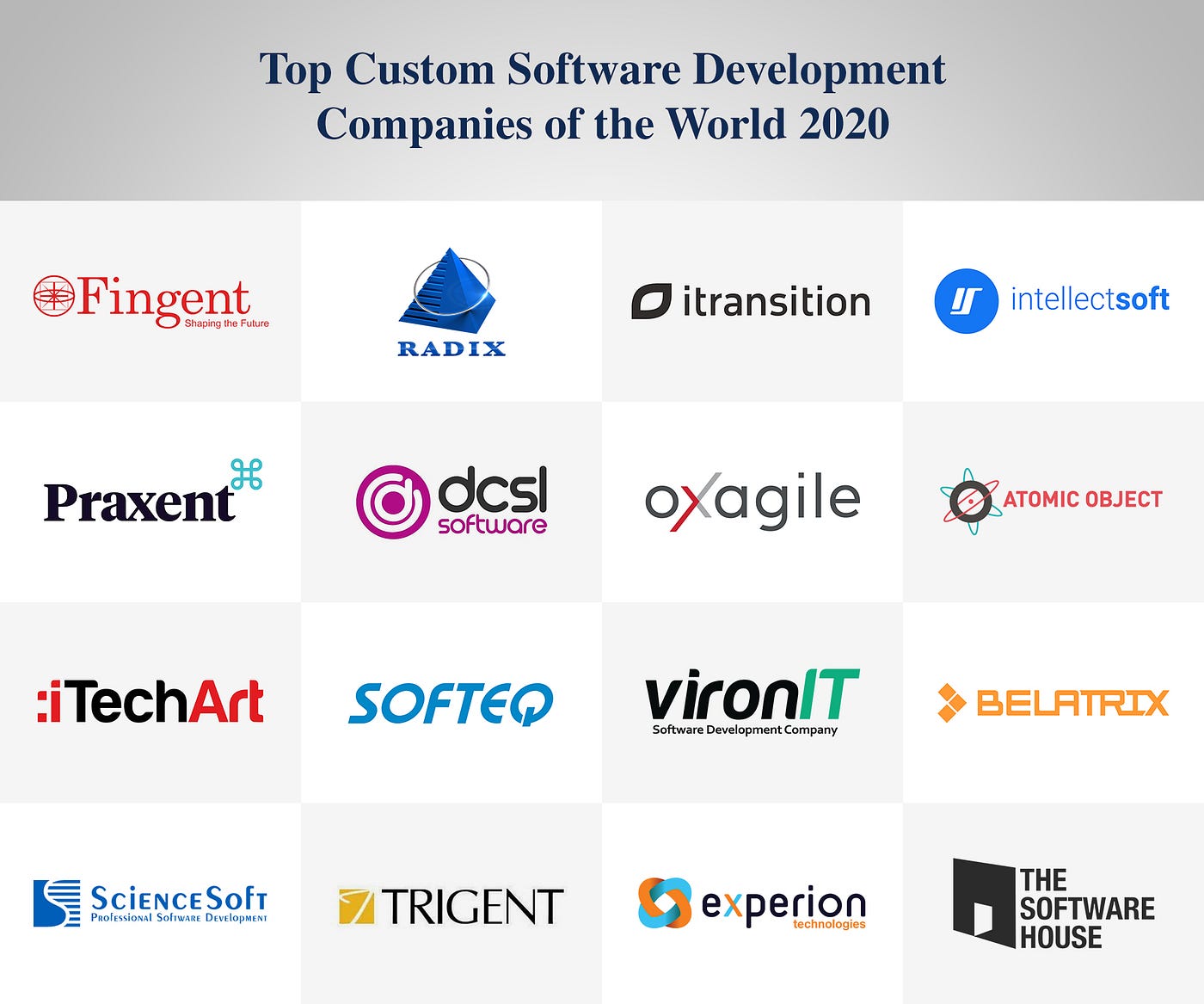 Software Developer Company