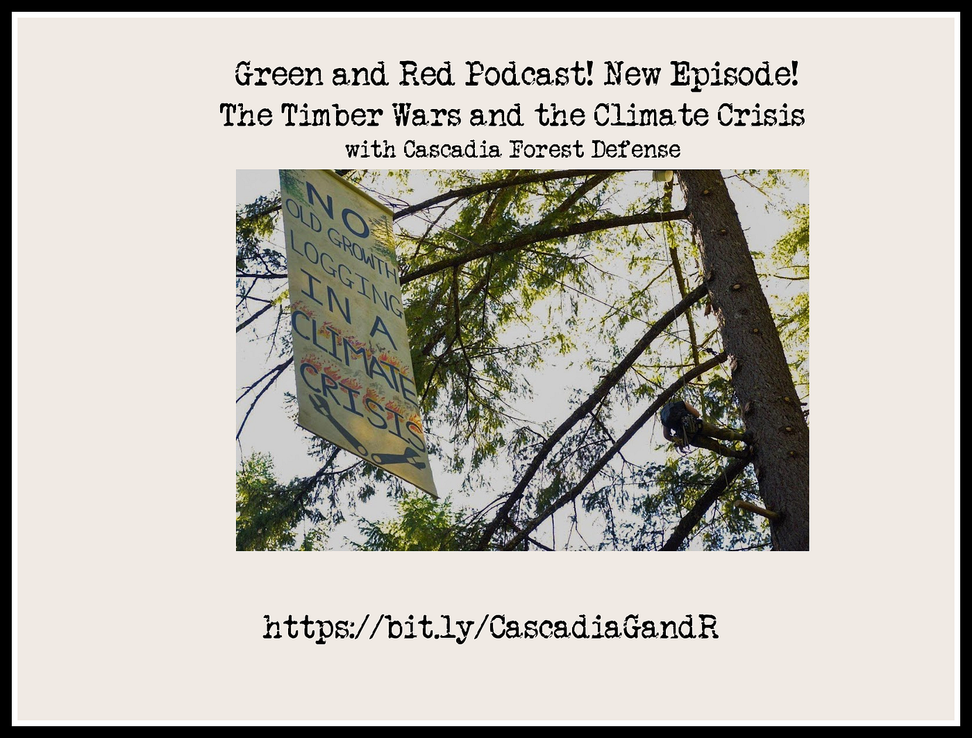 Oregon’s Timber Wars and the Climate Crisis | by Scott Parkin | Green ...