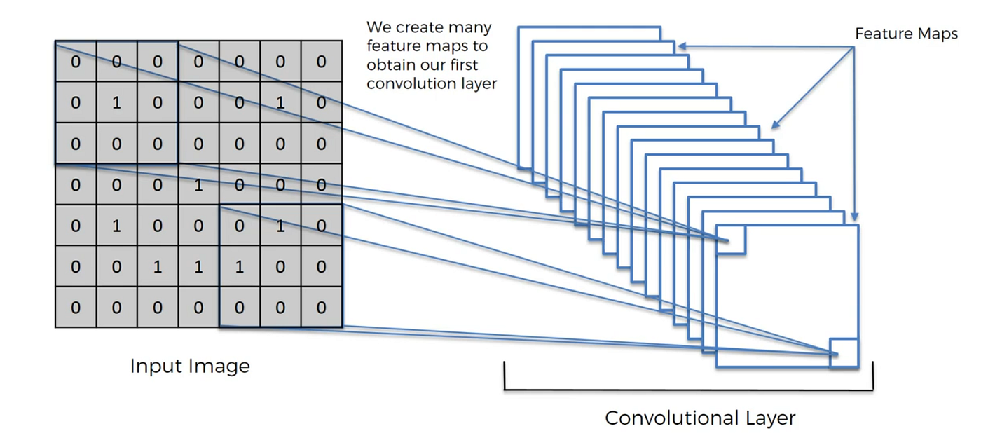 Convolutional Neural Networks(CNN) | by Mayank Singh | Medium
