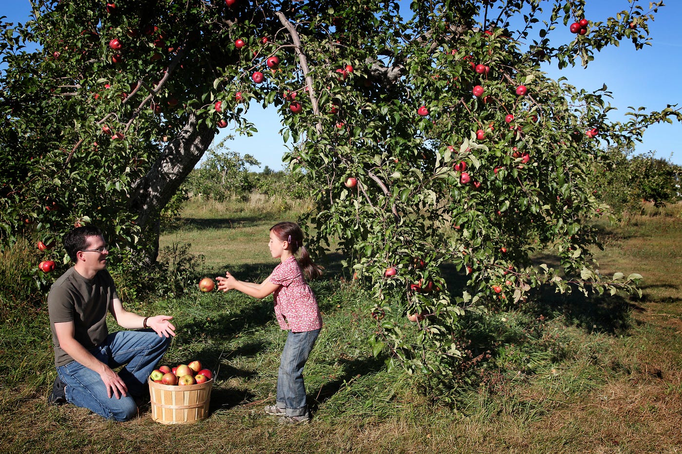 5 Fall Themed Family Learning Activities | by Love2Learn Idaho ...