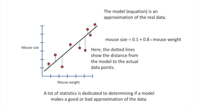 Statistics: what is a model?. Model has different definitions for… | by ...
